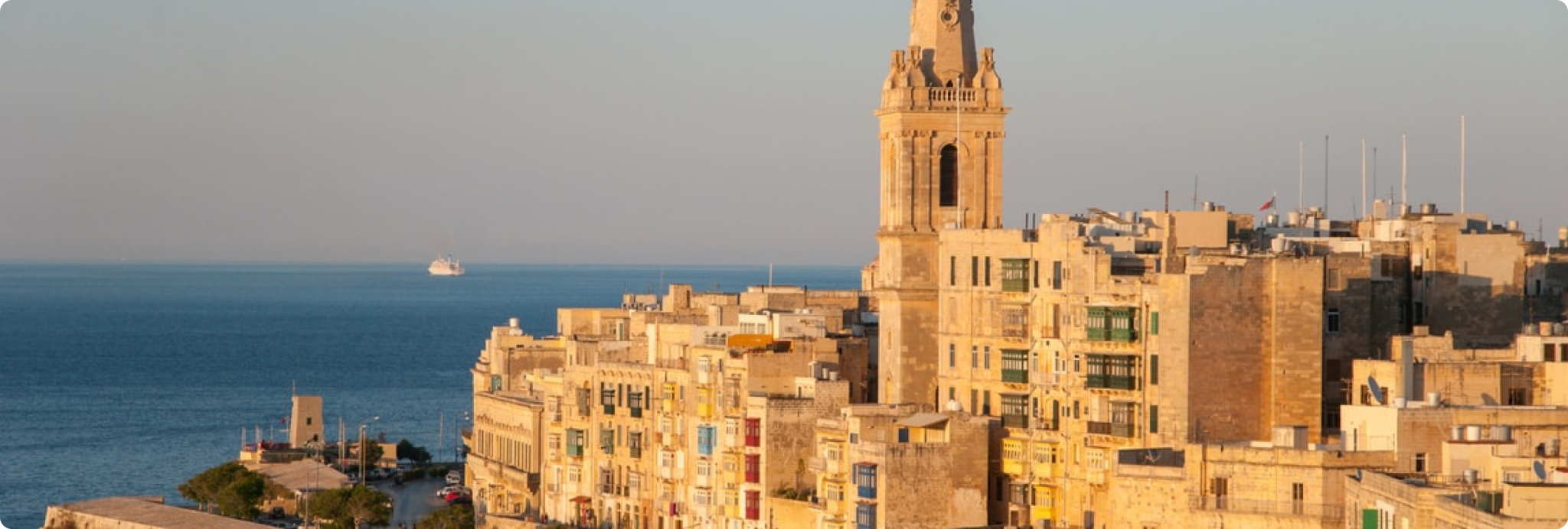 About Us - Bortex Group Holdings